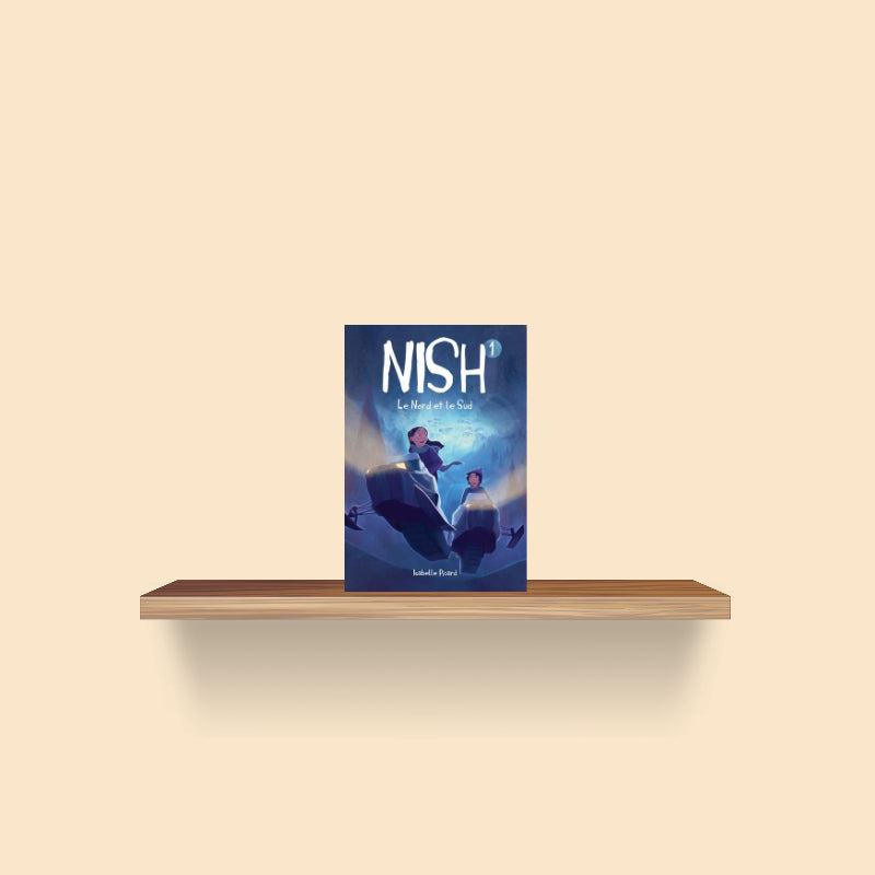 Nish - T1: Le nord et le sud - French youth novel - Isabelle Picard ...